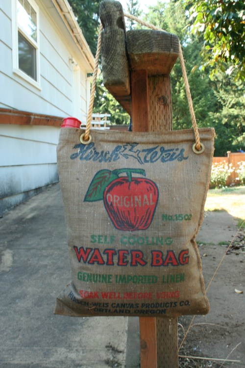 Canvas Water Bags Revisited | Jaci Dawn